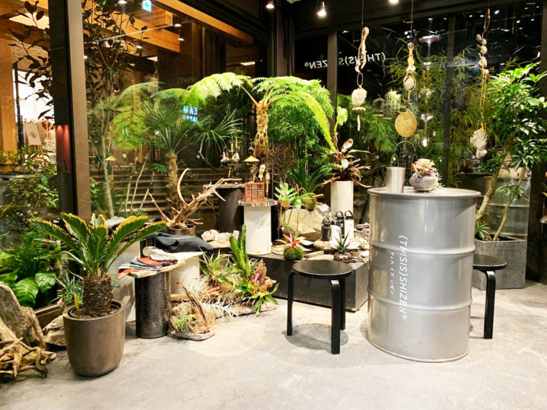 【烏丸御池】（THIS IS）SHIZEN｜新風館で自然が堪能できるボタニカルカフェをご紹介！ - ここと｜滋賀・京都のローカルメディア