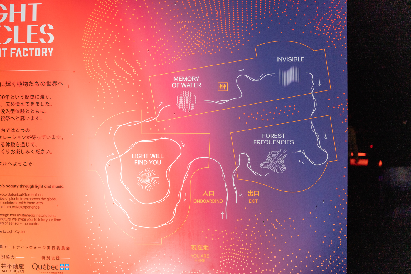 京都府立植物園100周年記念「LIGHT CYCLES KYOTO」｜幻想的な夜の植物園を体験してきました！ - ここと｜滋賀・京都のローカルメディア